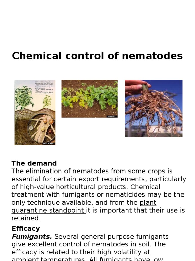 Nematicide Use in High-Value Crops | PDF | Insecticide | Soil