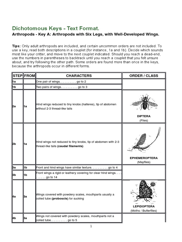 Dichotomous Keys | Living Fossils | Arthropods