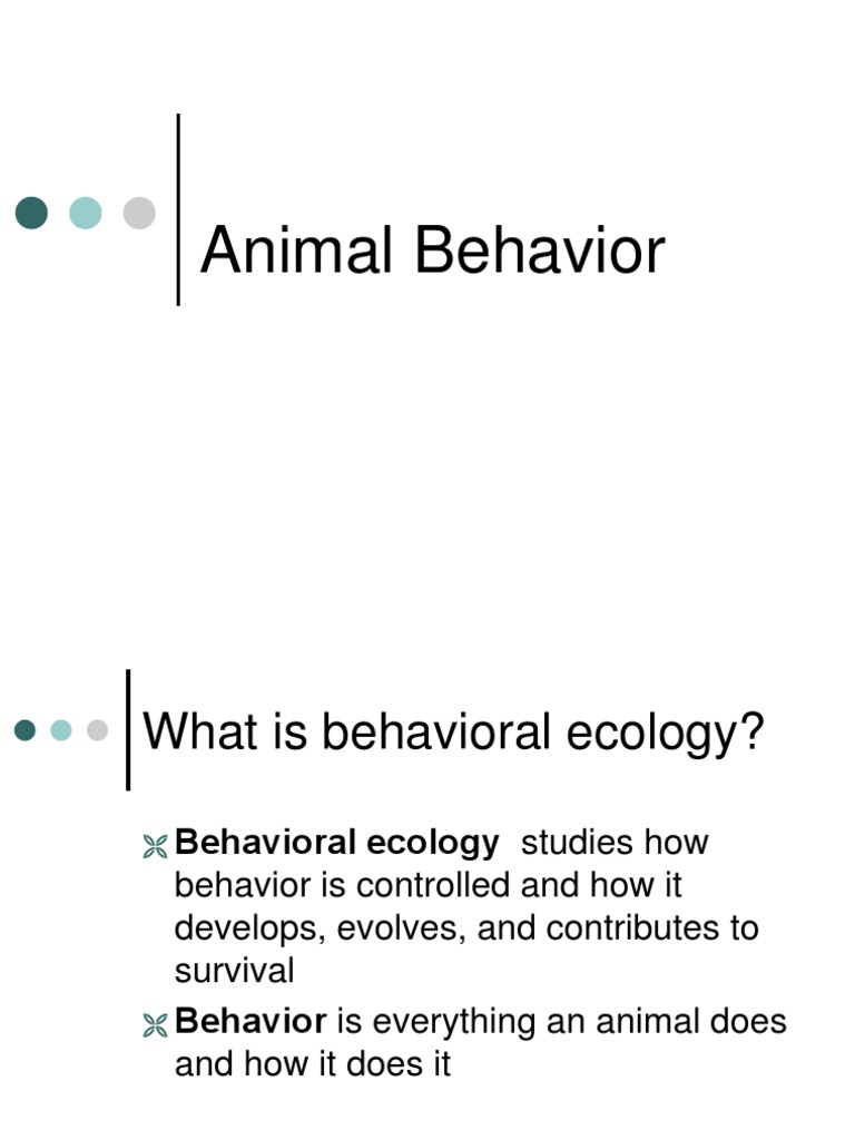 Animal Behavior | PDF | Ethology | Learning