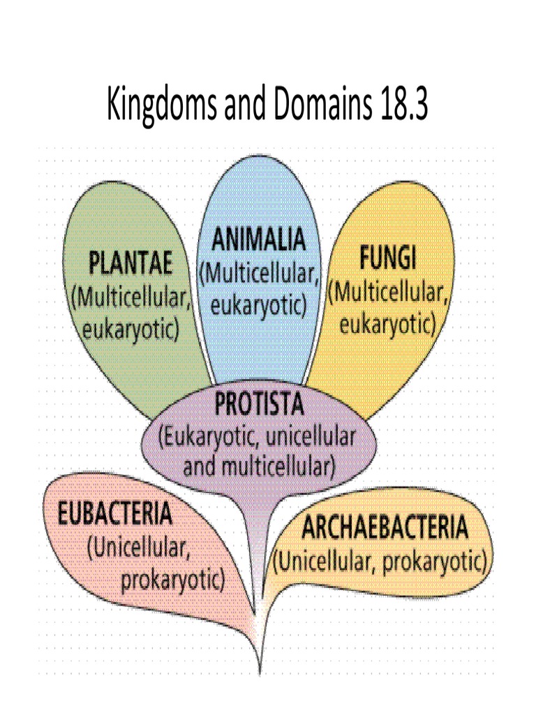 Taxonomy: Six Kingdoms and Three Domains | PDF | Science & Mathematics