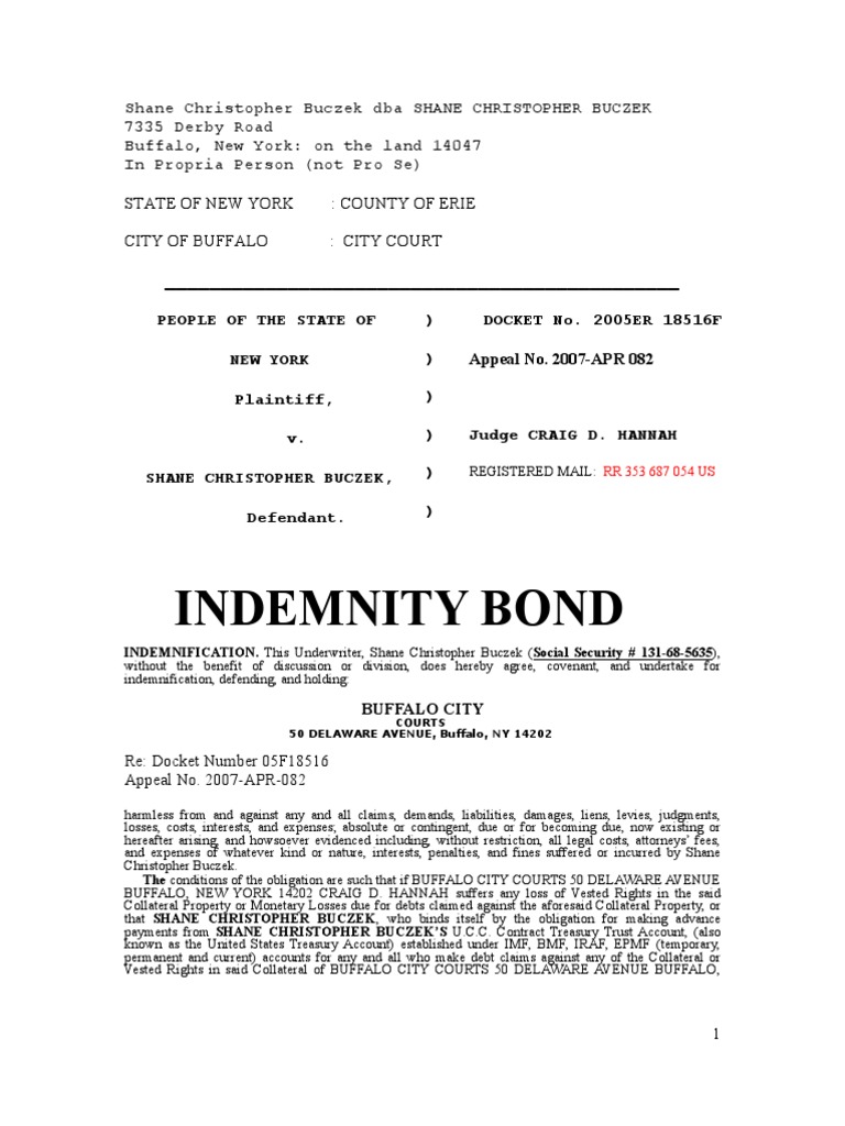 Indemnity Bond for Shane Buczek | PDF | Indemnity | Notary Public