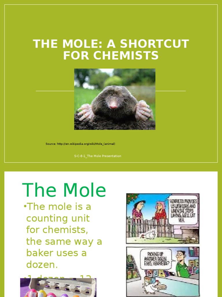 The Mole Powerpoint Presentation | PDF | Science & Mathematics