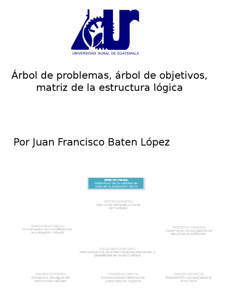 Matriz de La Estructura Lógica | PDF | Calidad (comercial) | Business