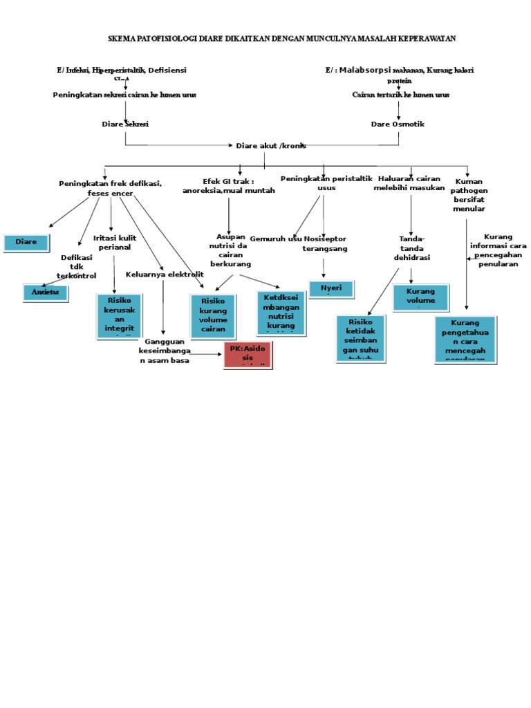 Patofisiologi Diare | PDF