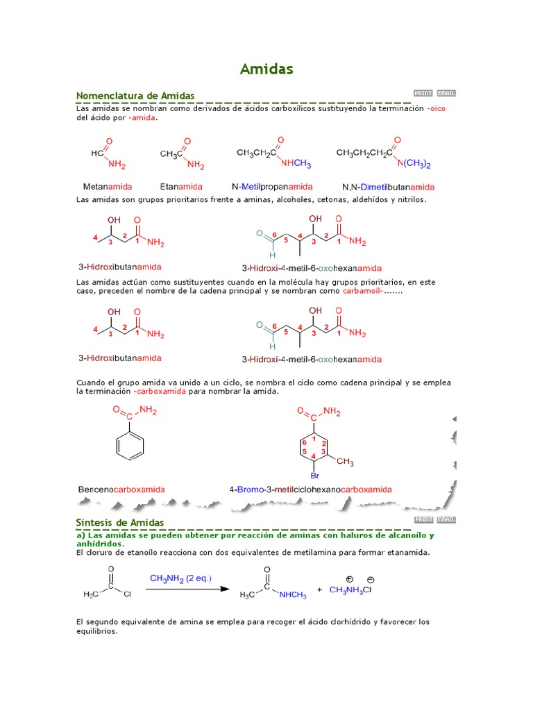 Amidas | PDF | Hidrólisis | Amida