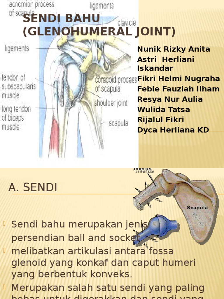 Sendi Bahu (Glenohumeral Joint) Kines Fix | PDF