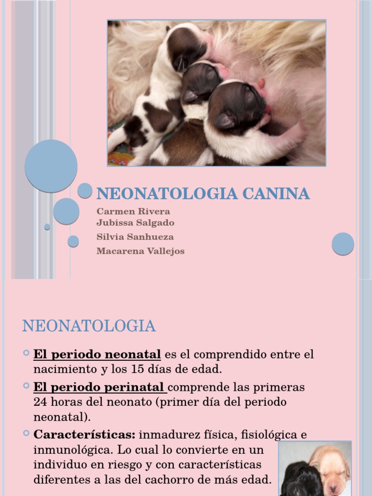 Neonatologia Canina | PDF | Infantes | Hipotermia