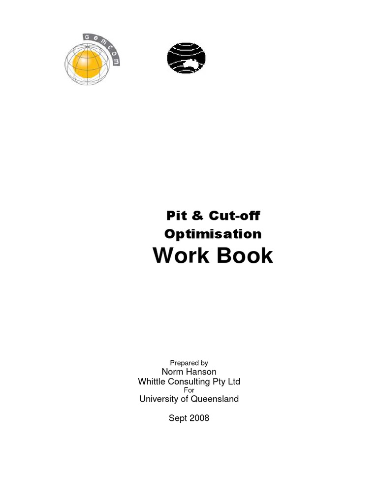 Whittle Workbook | PDF | Net Present Value | Gold