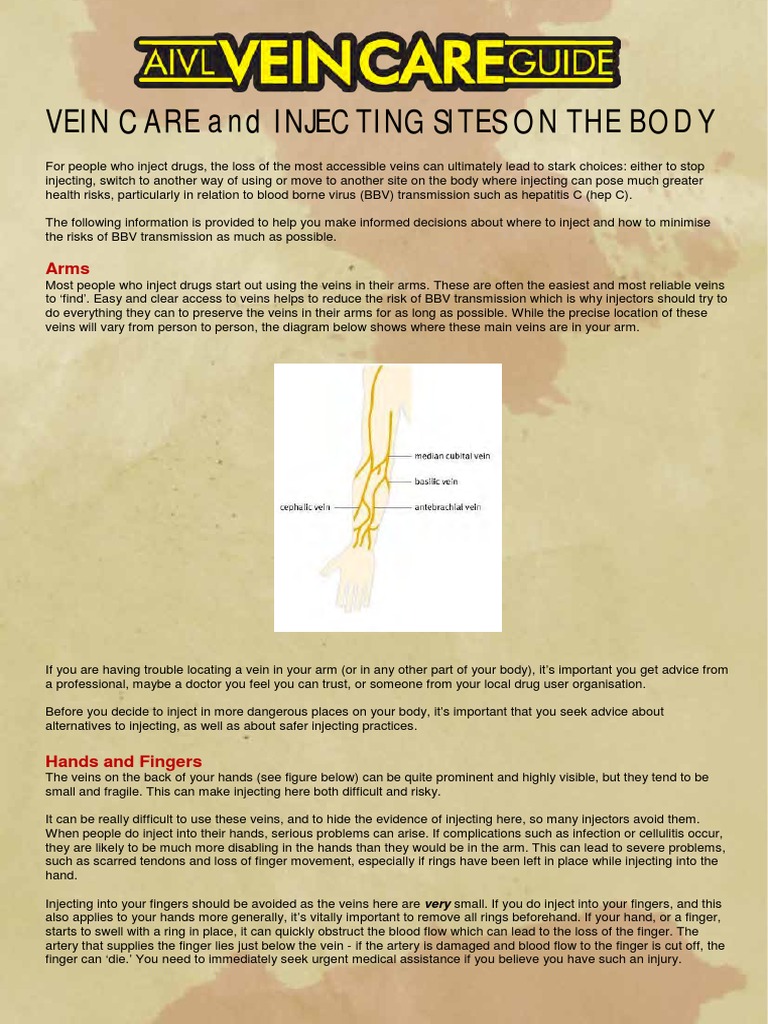 Vein Chart | PDF | Vein | Artery