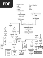 LP Wound Dehiscince | PDF | Kesehatan Holistik