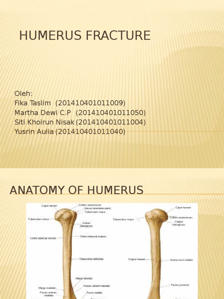 Humerus Fracture | PDF | Elbow | Musculoskeletal System