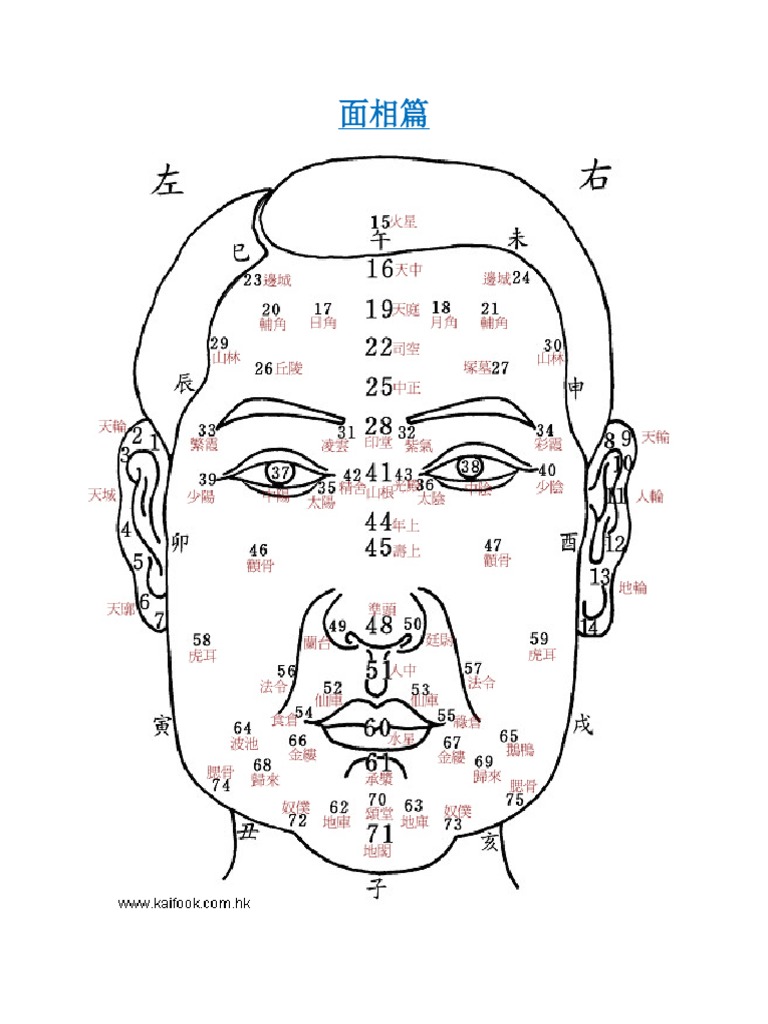 Face Reading | PDF