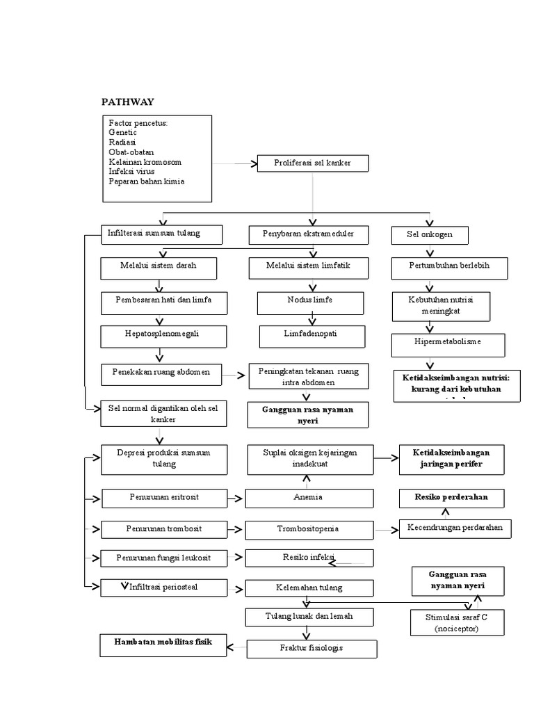 Pathway Aml