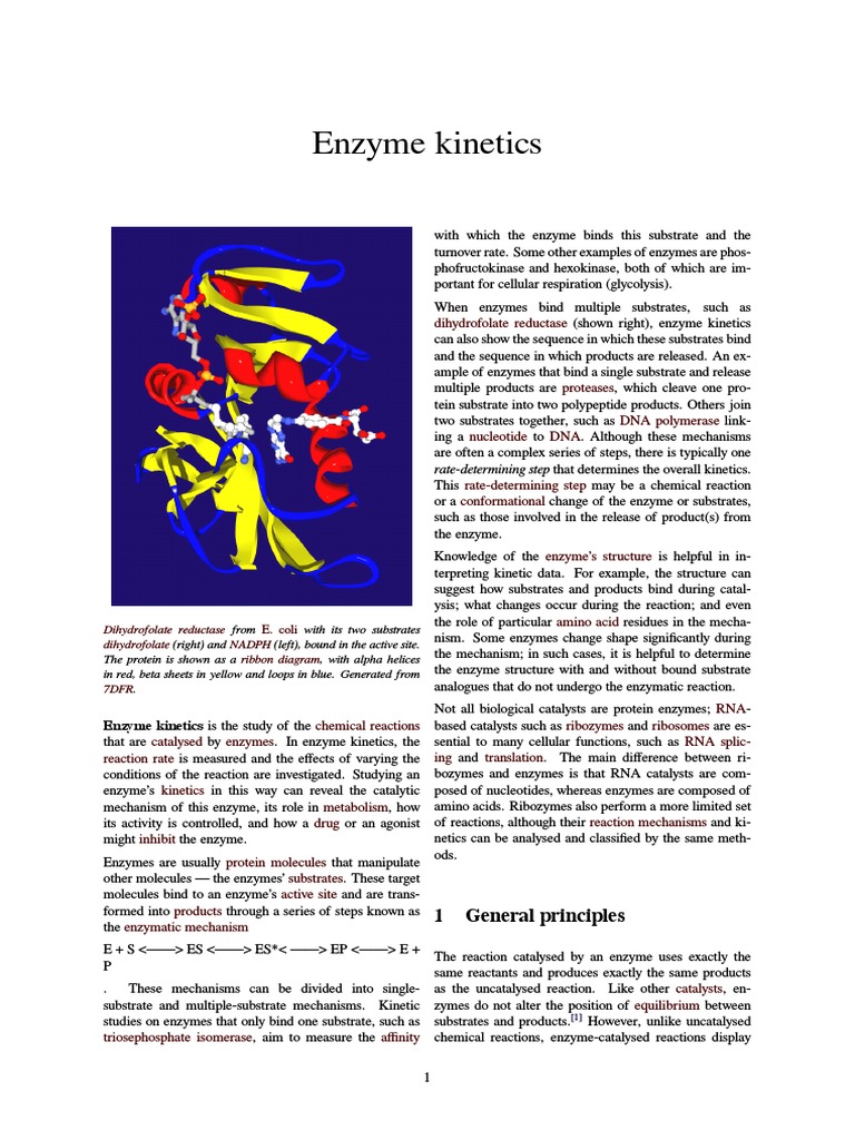 Enzyme Kinetics Pdf Enzyme Kinetics Enzyme Inhibitor