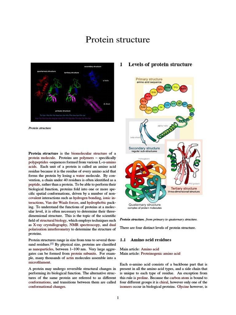 Protein Structure PDF | PDF | Protein Structure | Protein Domain