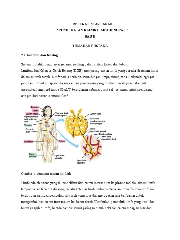 REFERAT Limfadenopati | PDF