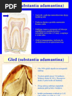 Dentalna Anatomija - Uvod U Dentalnu Morfologiju | PDF