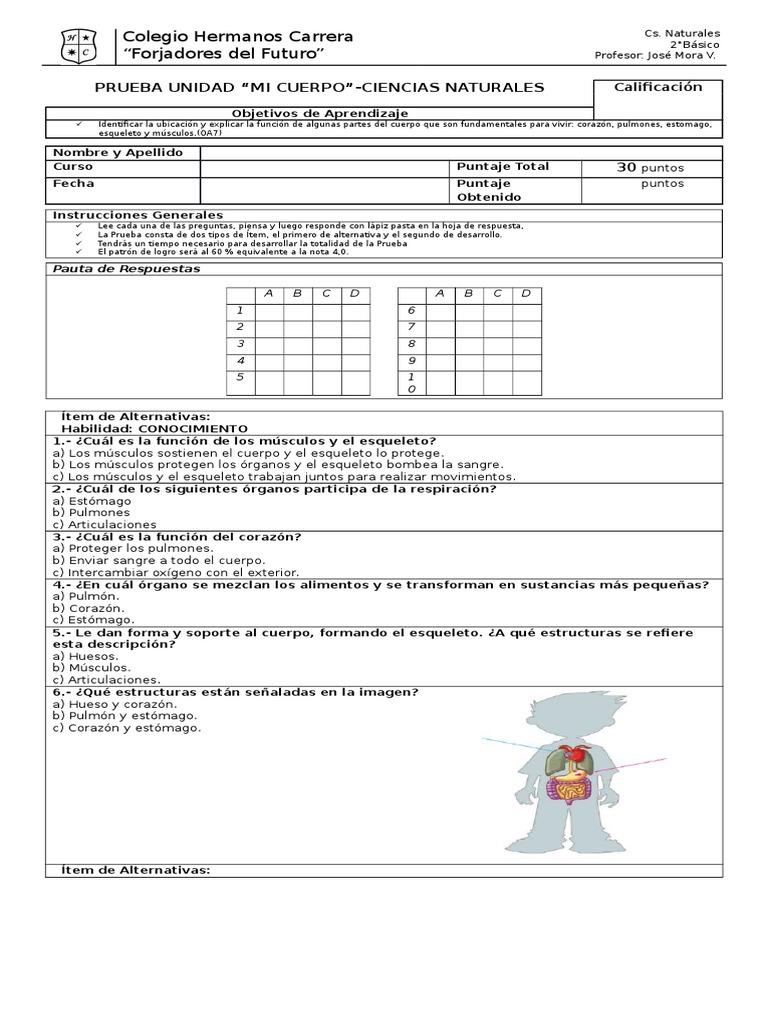 Prueba 2° Básico Mi Cuerpo Ciencias Naturales | PDF | Pulmón | Corazón