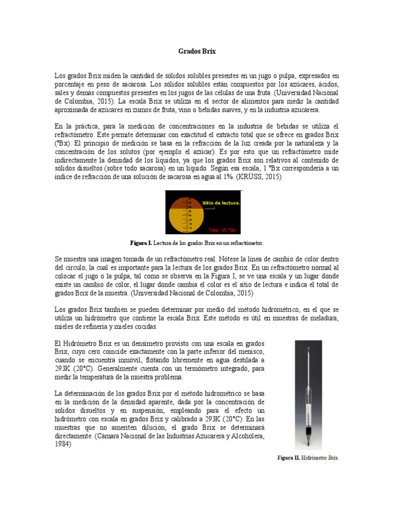 Final Grados Brix | PDF | Química | Alimentos