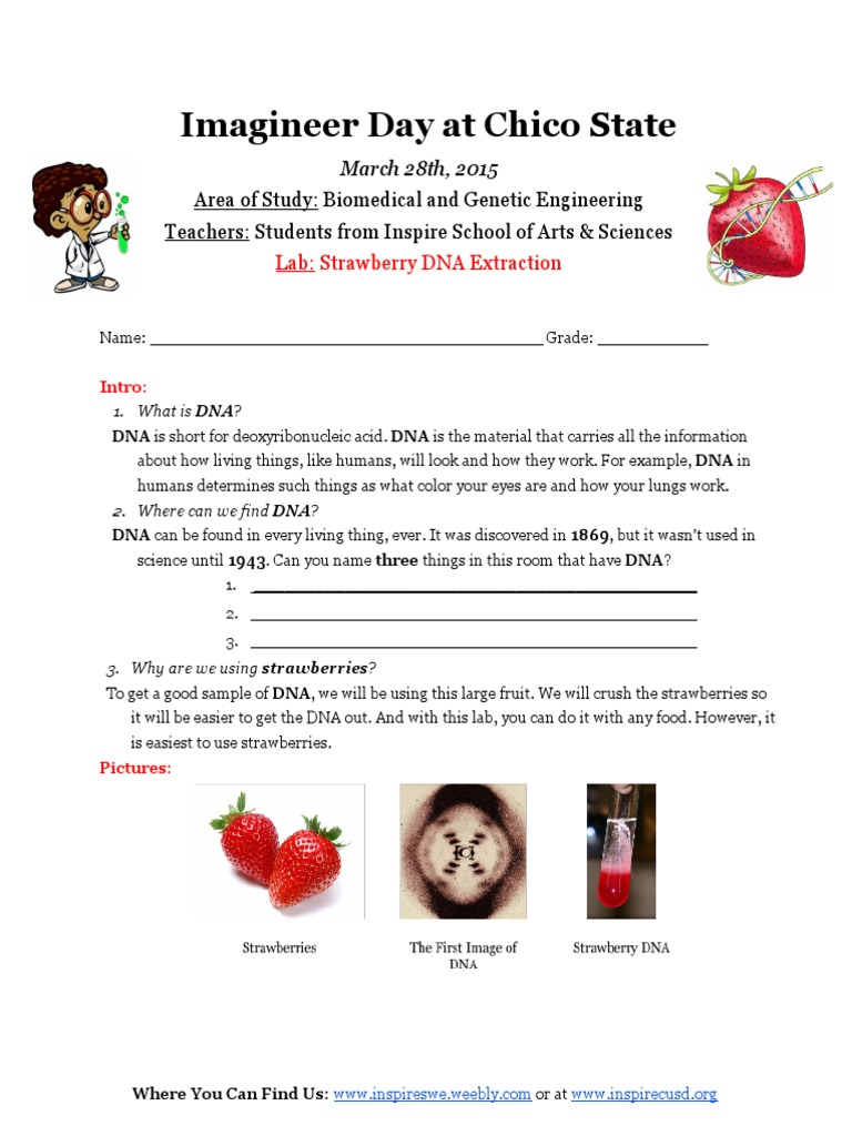 Imagineer Day at Chico State | PDF | Nature