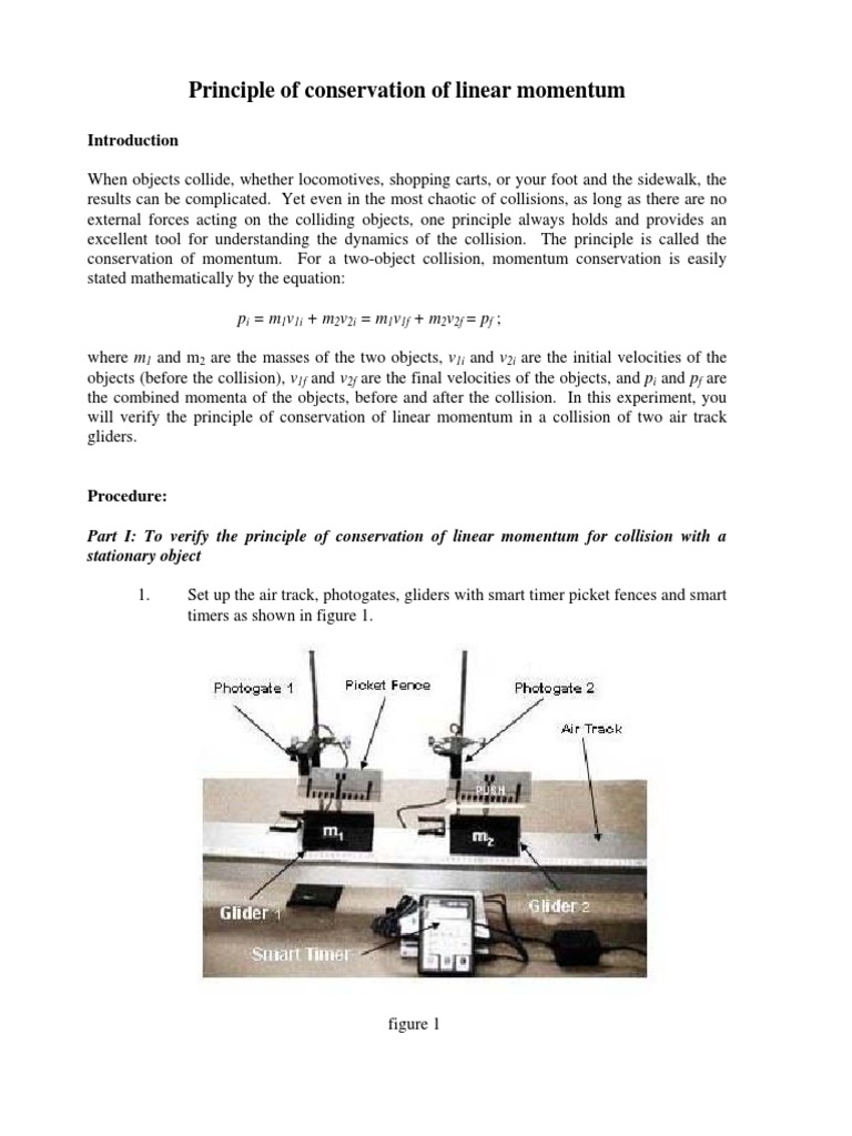 Physics Lab: Momentum Conservation | PDF | Momentum | Collision
