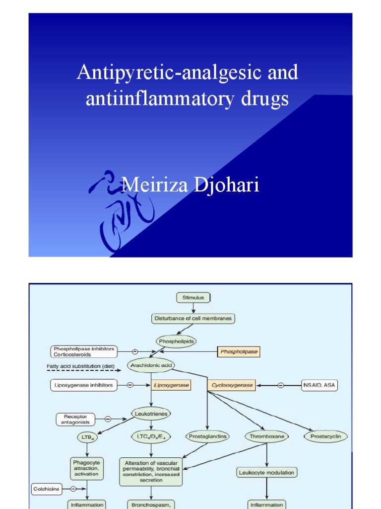 Antipyretic-Analgesic and Antiinflammatory Drugs | PDF | Nonsteroidal ...