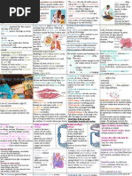 GCSE Physics Revision Notes (4-6) | PDF | Radioactive Decay ...