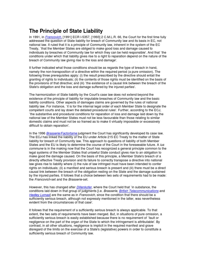 The Principle of State Liability | PDF | European Union Law | European ...