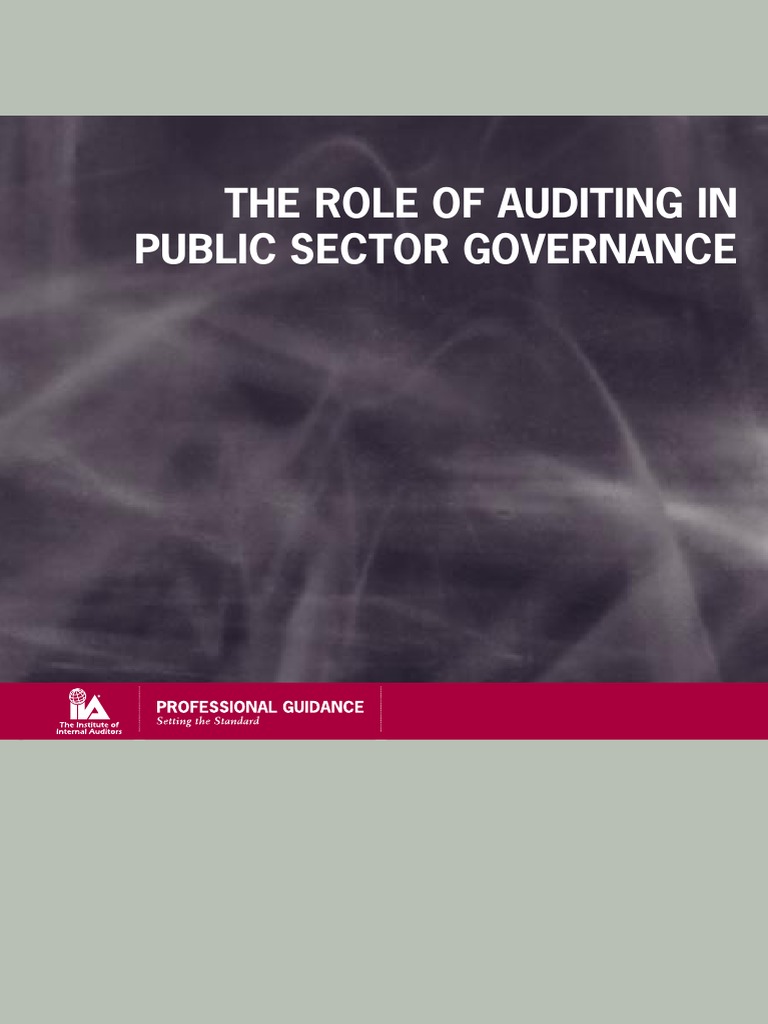Public Sector Auditing Guide | PDF | Internal Audit | Audit