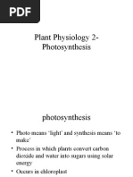 BTB Experiment: Photosynthesis & Respiration | PDF | Photosynthesis ...