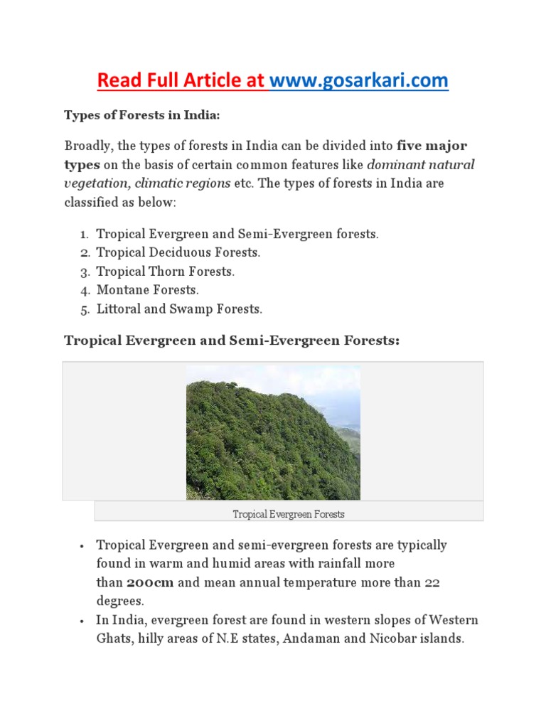 Types of Forests in India - GoSarkari.com | Forests | Tropics