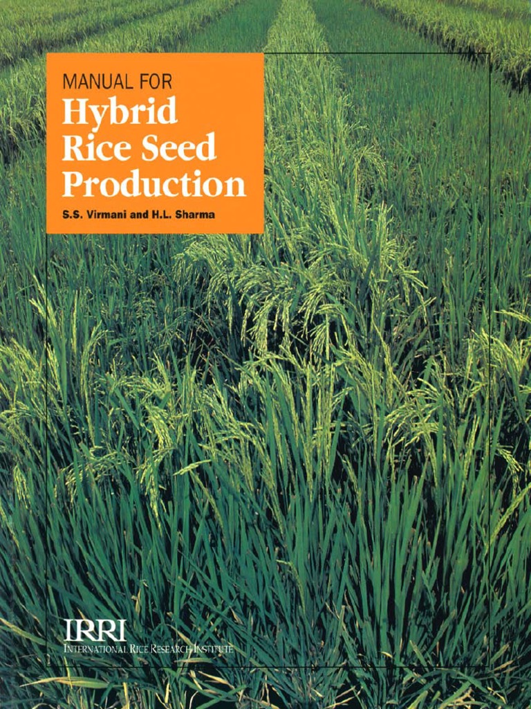Manual For Hybrid Rice Seed Production | Rice | Seed