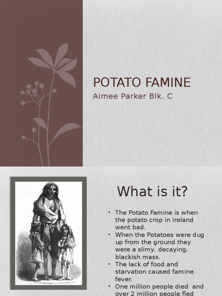 Understanding the Irish Potato Famine | PDF | History