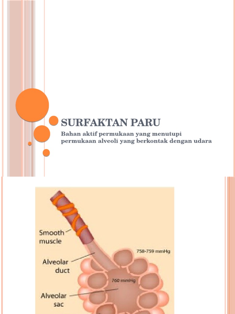 Surfaktan Paru | PDF