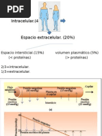 Signo de La Fovea o Godet | Edema | Especialidades Medicas | Prueba ...