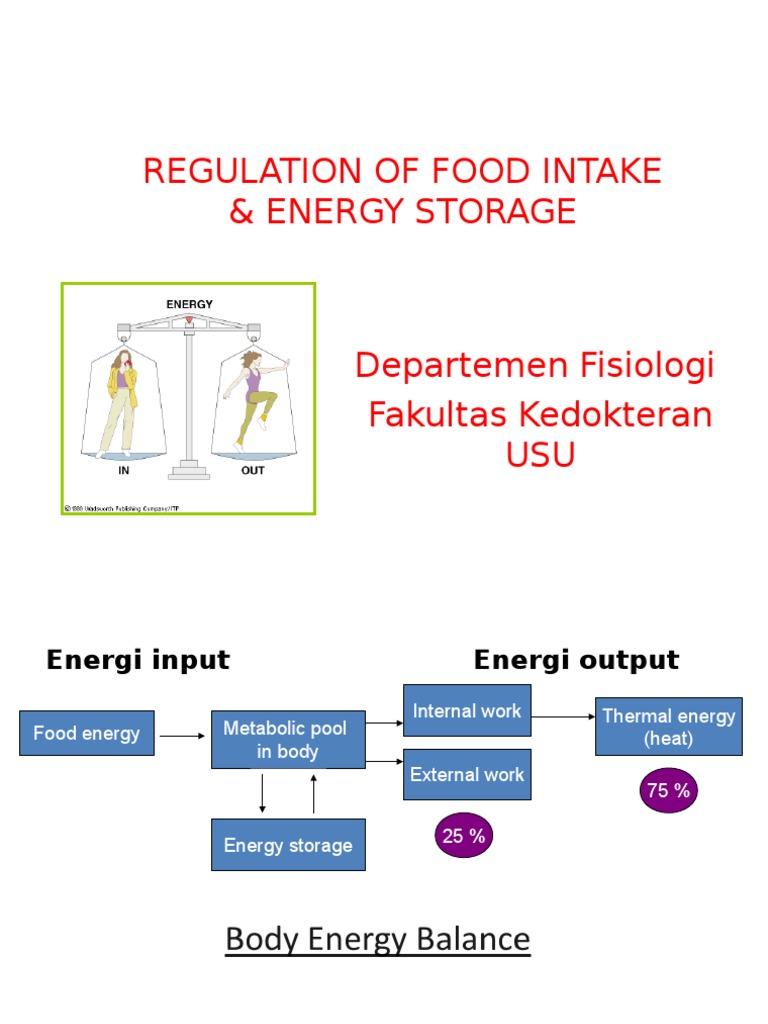 REGULATION OF FOOD INTAKE.ppt | Eating | Hypothalamus