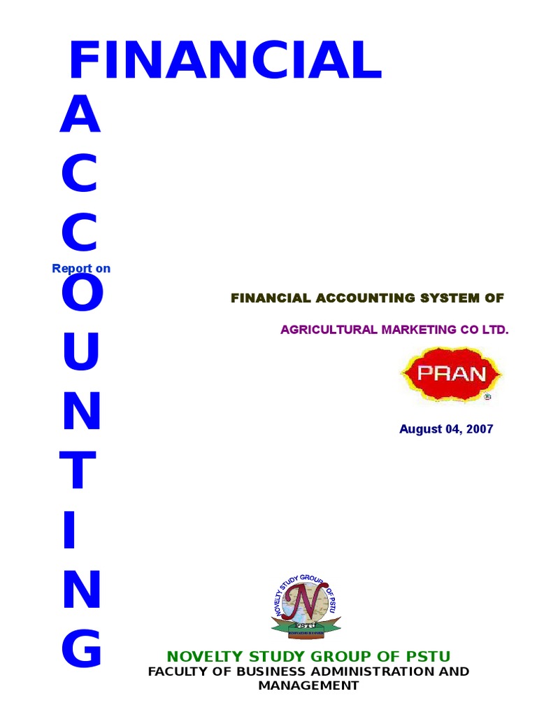 Financial Accounting System Report | PDF | Business
