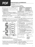 NCERT - Molecular Basis of Inheritance | PDF | Operon | Translation (Biology)