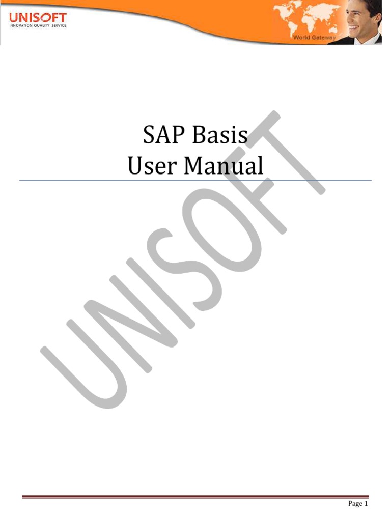 Sap Basis User Manual Unisoft | PDF | Databases | Server (Computing)