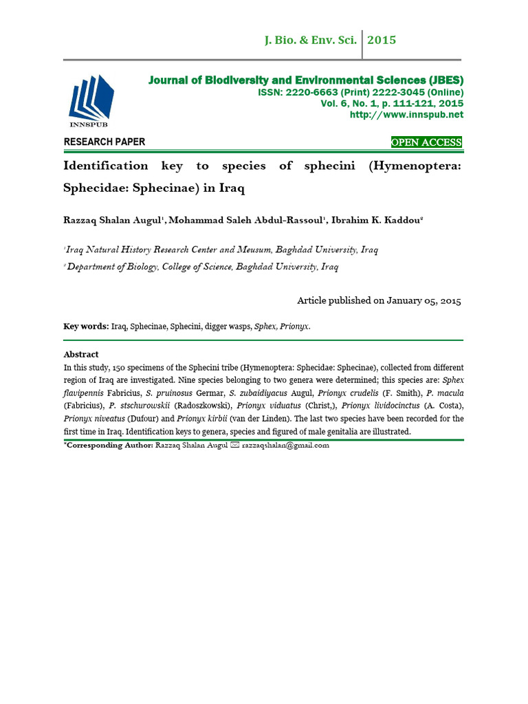 Identification Key To Species of Sphecini (Hymenoptera: Sphecidae ...