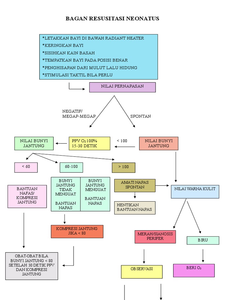 Bagan Resusitasi Neonatus | PDF