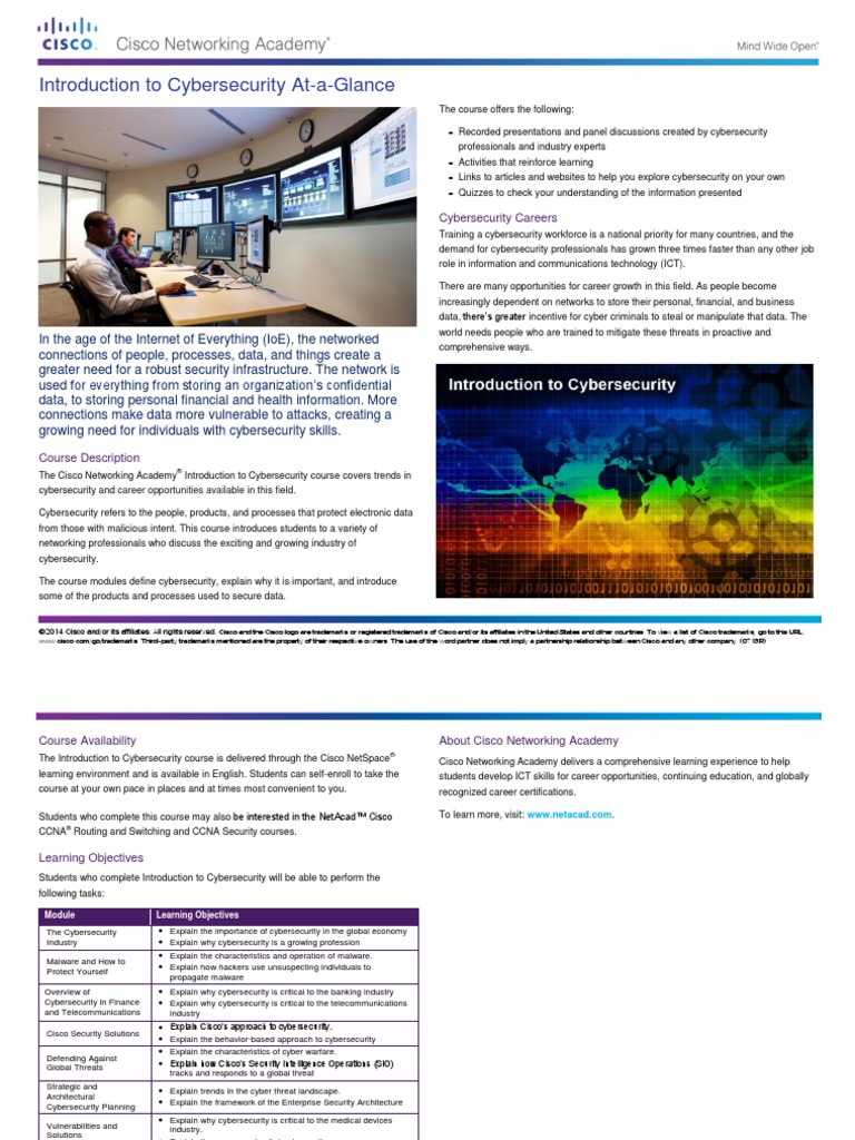 Intro To Cybersecurity at A Glance | PDF | Business | Computers