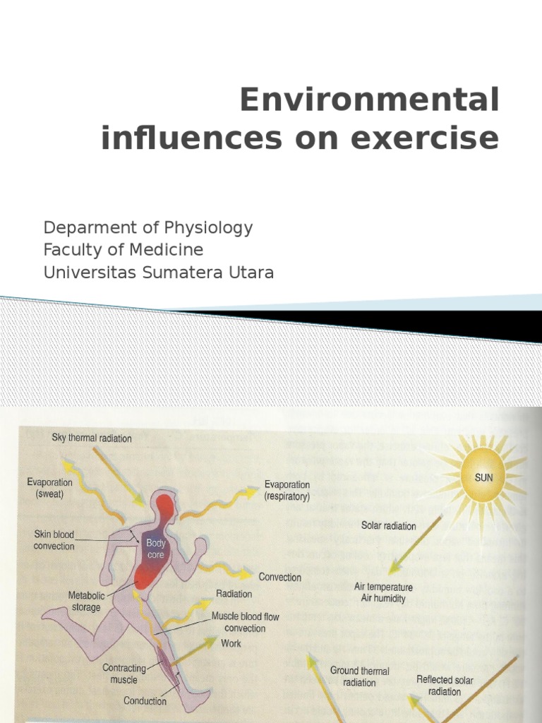 Environmental Influences On Exercise | PDF | Hypothermia | Physical ...