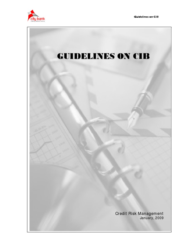 Guidelines On CIB | PDF | Credit (Finance) | Banks