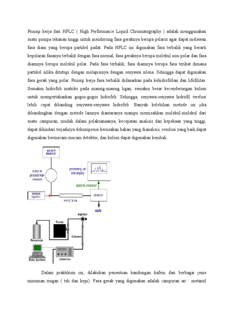 Prinsip Kerja Dari HPLC | PDF