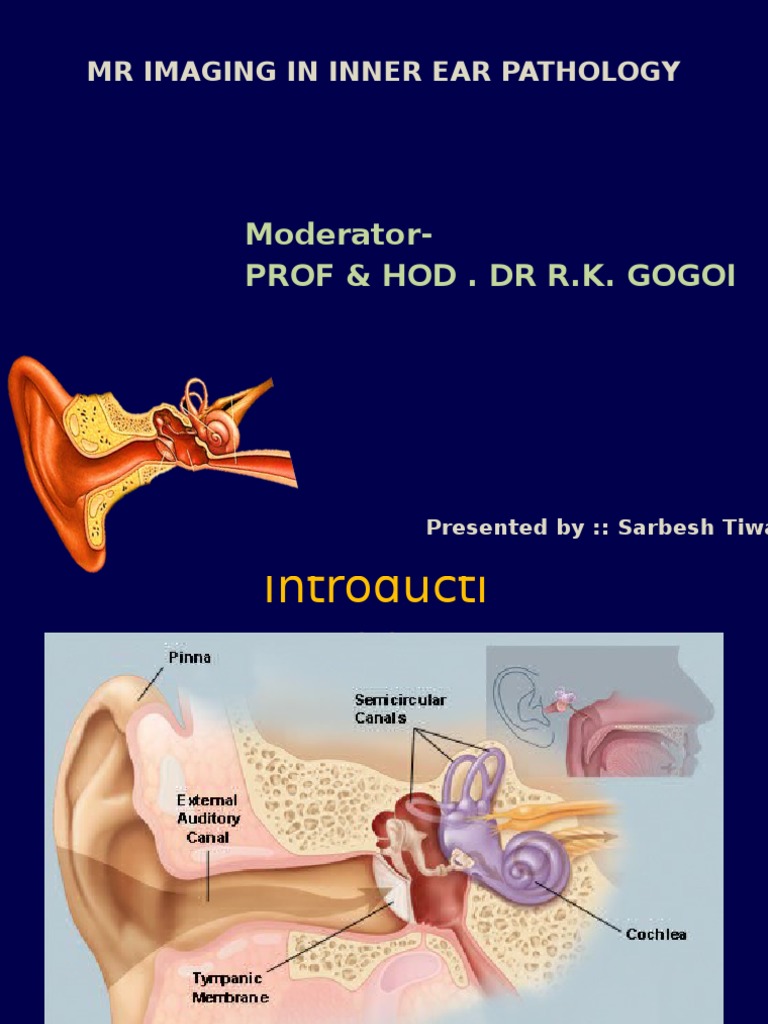 Inner Ear | PDF | Ear | Auditory System