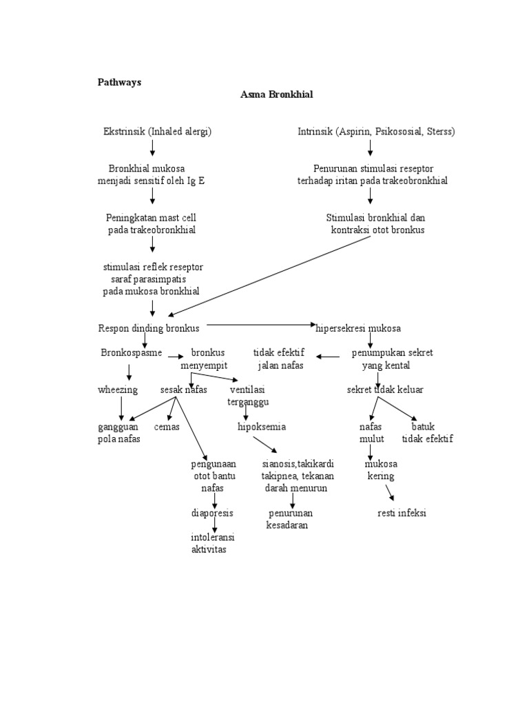 Pathways Asma Bronkial | PDF