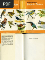 Bto Bird Species Codes | PDF