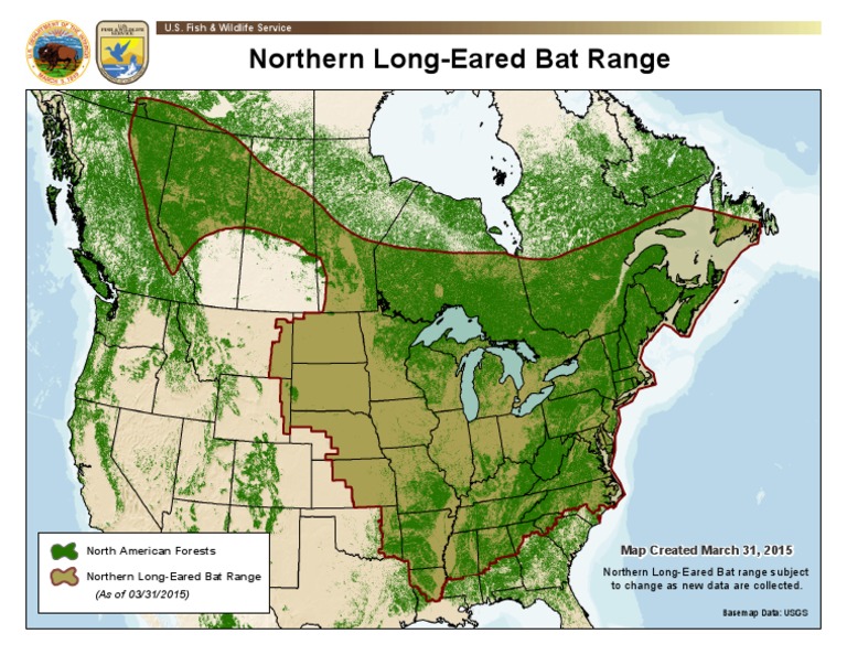Northern Long-Eared Bat Range | PDF