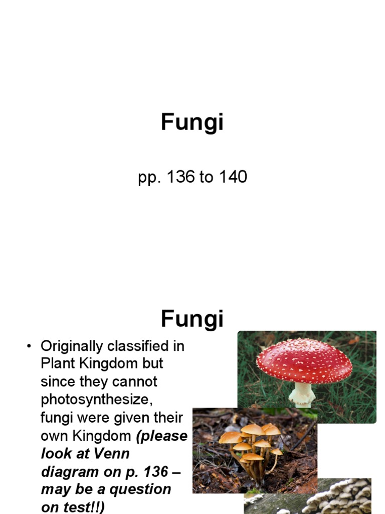 10 1 Fungi | PDF | Home & Garden | Science & Mathematics